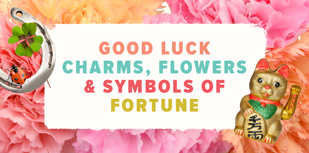 🍀 Good Luck Plants and Flowers for Your Home - Allan's Flowers & More