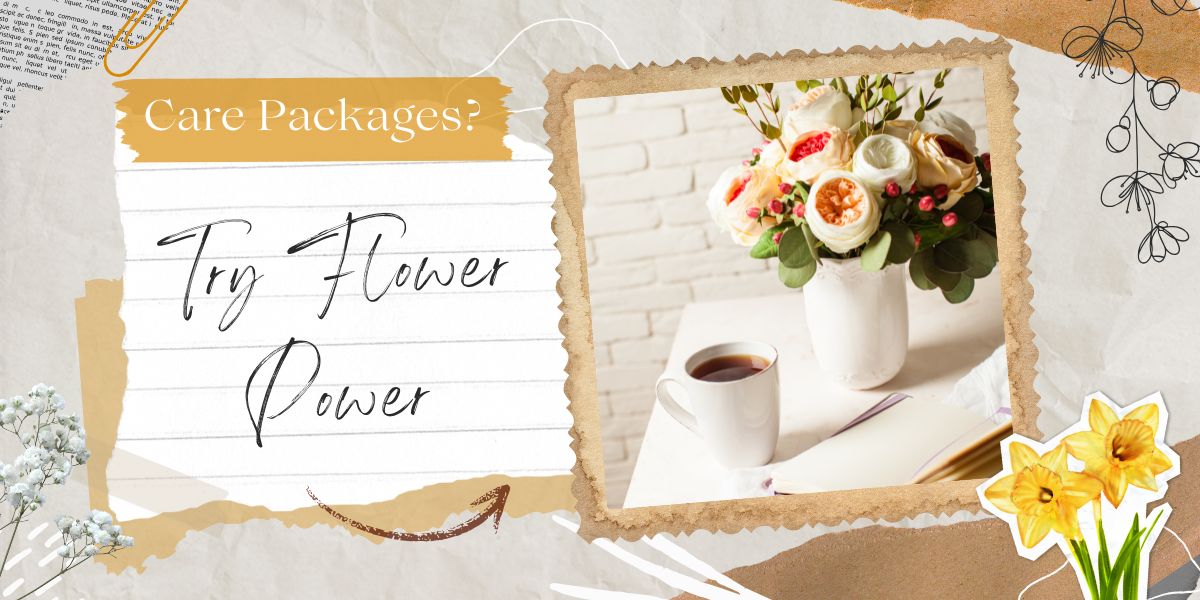 Bloom-Worthy Campus Moments: Why Your Favorite College Student Deserves ...